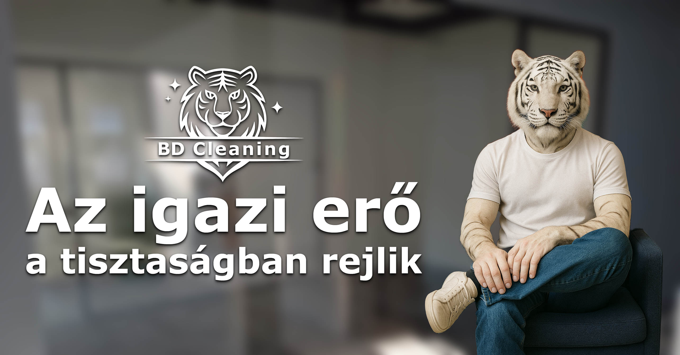 Professzionális Takarítás | BD Cleaning - Irodák, épületek, lakások ...